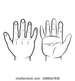 Human Hands Back Hand Palm Hand Stock Vector (Royalty Free) 1088367830 ...