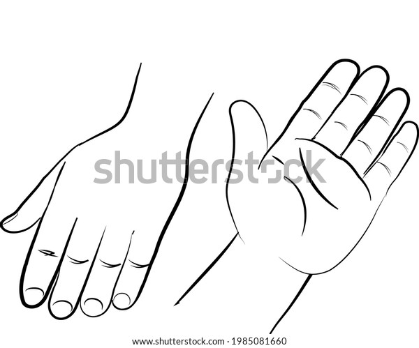 Human Hands Black White Line Vector Stock Vector (Royalty Free ...