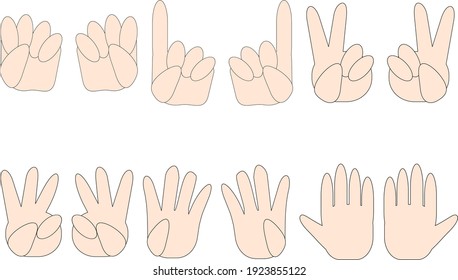 Human Hands Counting Left Right Stock Vector (Royalty Free) 1923855122 ...