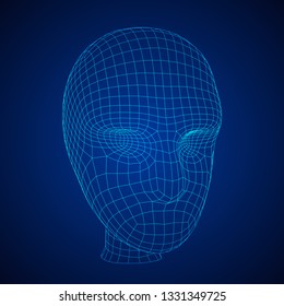 Human Head Medical Scan Model Wireframe Stock Vector (Royalty Free ...