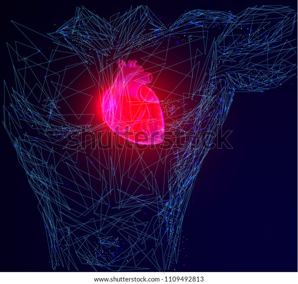Human heart anatomy form lines and triangles, point connecting network ...
