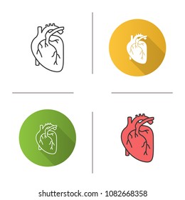Human Heart Anatomy Icon Flat Design Stock Vector (Royalty Free ...