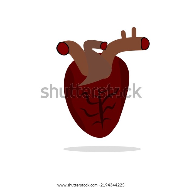 Human Heart Cartoon Photo Vector Illustration Stock Vector (Royalty ...