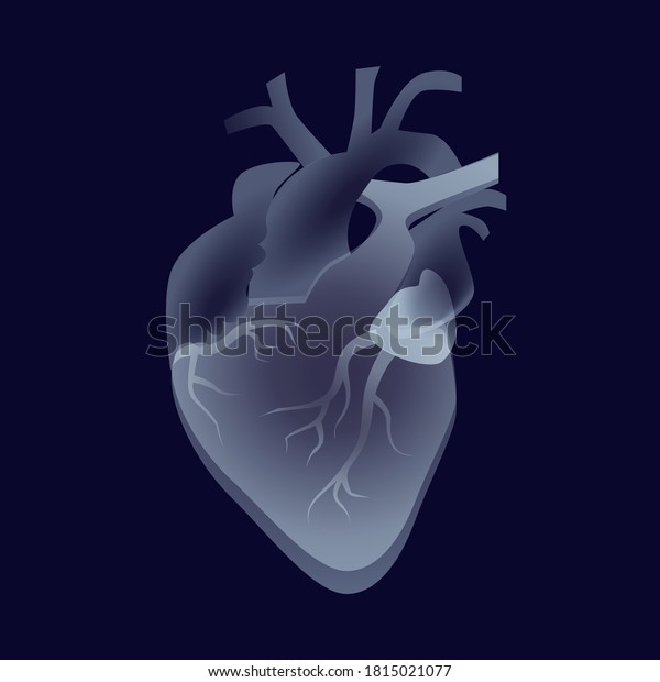 Human Heart Circulatory System Transparent Organs Stock Vector (Royalty ...