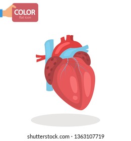 Human Heart Color Vector Icon Flat Stock Vector (Royalty Free ...