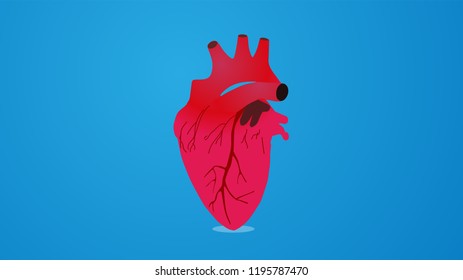 Human Heart Computer Illustration Isolated On Stock Vector (Royalty ...