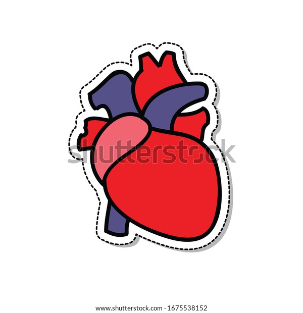 Human Heart Doodle Icon Vector Illustration Stock Vector (Royalty Free ...