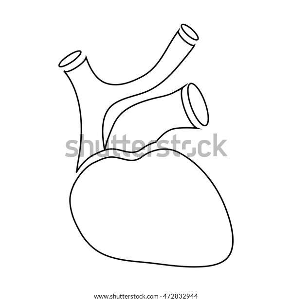 Human Heart Icon Outline Style Isolated Stock Vector (Royalty Free ...