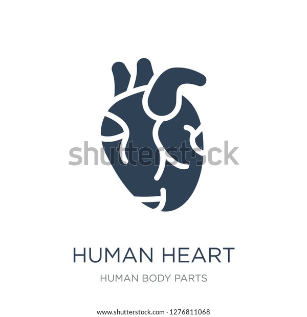 Human Heart Icon Vector On White Stock Vector (Royalty Free) 1276811068 ...
