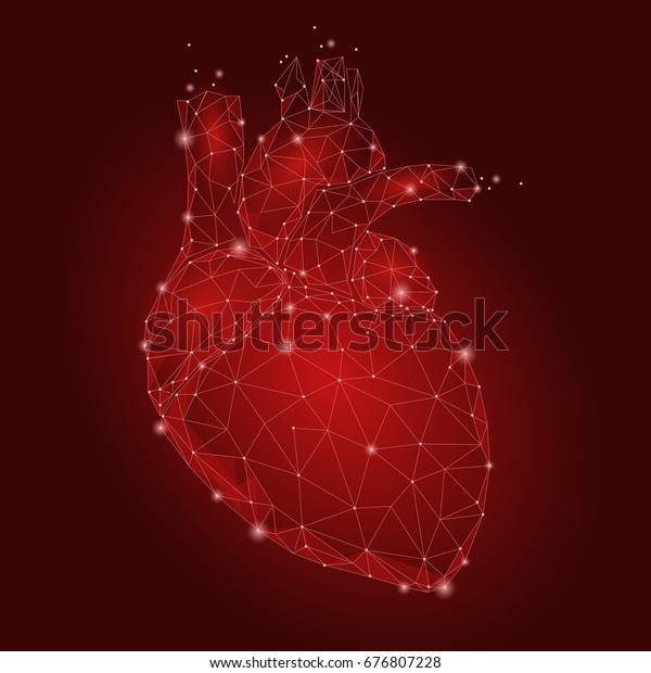 Human Heart Internal Organ Triangle Low Stock Vector (Royalty Free ...