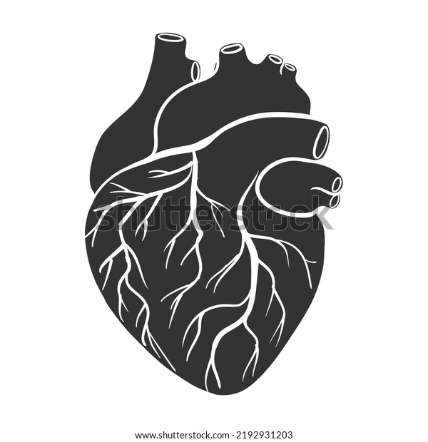 Vector de silueta de corazón humano.: vector de stock (libre de ...