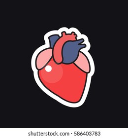 Human Heart Sticker Vector Illustration Stock Vector (Royalty Free ...