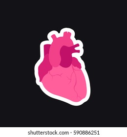 Human Heart Sticker Vector Illustration Stock Vector (Royalty Free ...