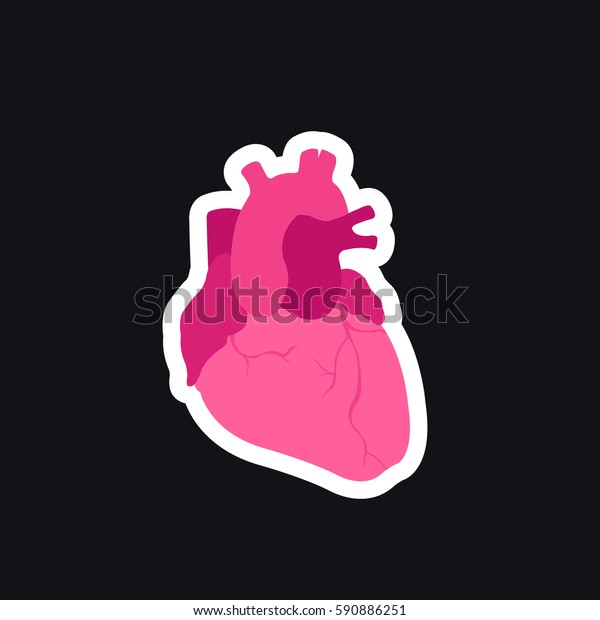 Human Heart Sticker Vector Illustration Stock Vector (Royalty Free ...