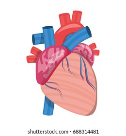 Human Heart Symbol Stock Vector (Royalty Free) 688314481 | Shutterstock