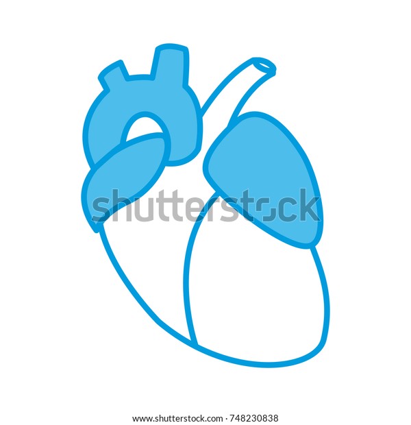 Human Heart Symbol Stock Vector (Royalty Free) 748230838 | Shutterstock