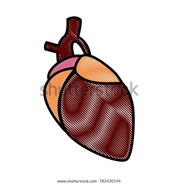 Human Heart Symbol Stock Vector (Royalty Free) 782430196 | Shutterstock