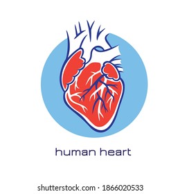 Human Heart Symbol Vector Illustration Stock Vector (Royalty Free ...