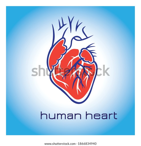 Human Heart Symbol Vector Illustration Stock Vector (Royalty Free ...