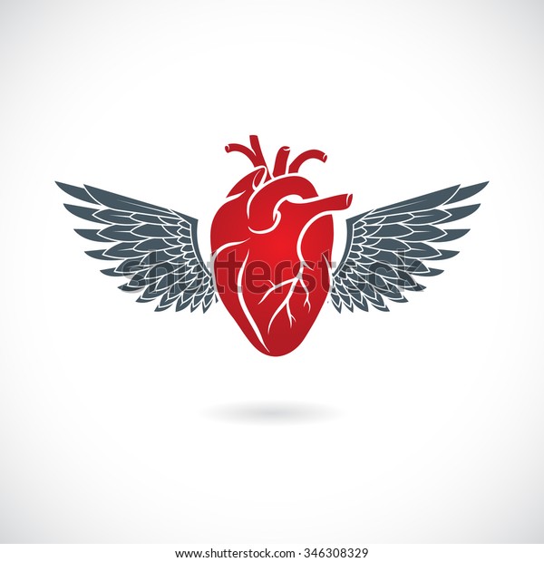 Human Heart Symbol Vector Illustration Stock Vector (Royalty Free ...