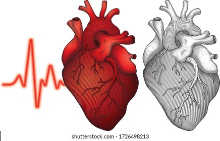 Cardiac Images, Stock Photos & Vectors | Shutterstock