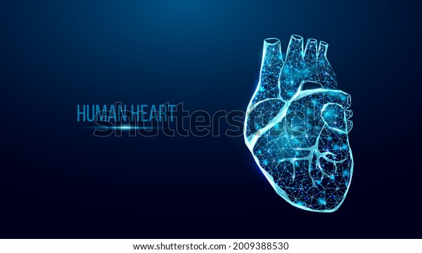 Human Heart Wireframe World Heart Day Stock Vector (Royalty Free ...