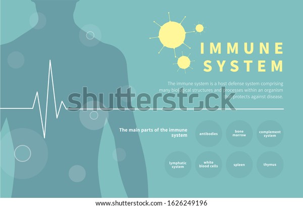 3,138 Immune System Infographic Images, Stock Photos & Vectors ...