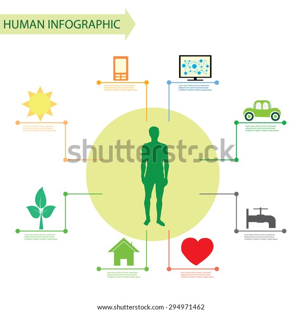 Human Infographic Illustration Stock Vector (Royalty Free) 294971462 ...