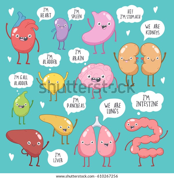 Human Internal Cute Smiling Organs Illustration Stock Vector (Royalty ...