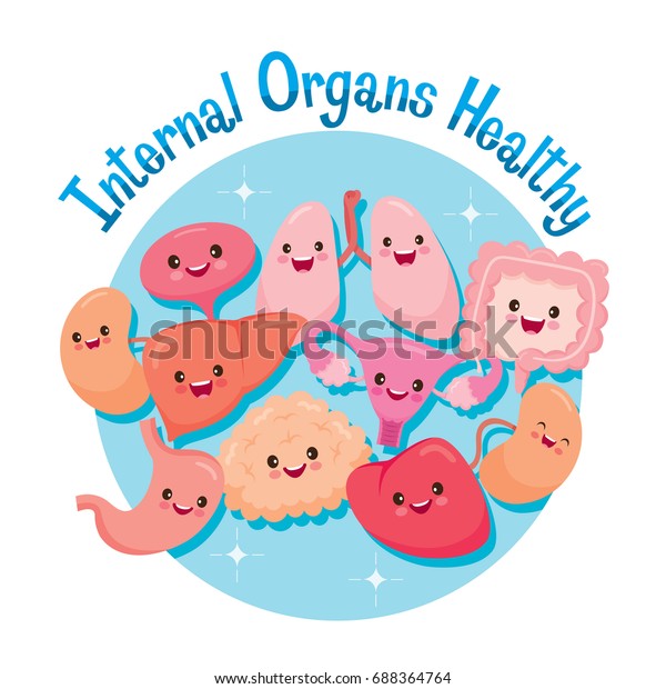 Human Internal Organs Cartoon Characters Funny : image vectorielle de ...
