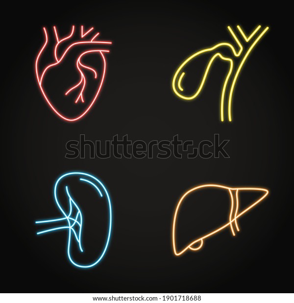 Human Internal Organs Neon Icon Set Stock Vector (Royalty Free ...