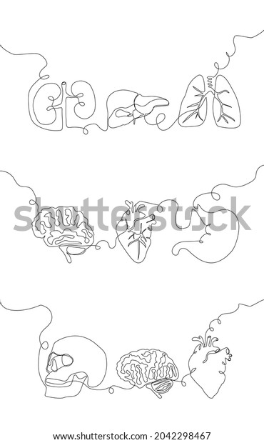 Human Internal Organs One Line Set Stock Vector (Royalty Free ...