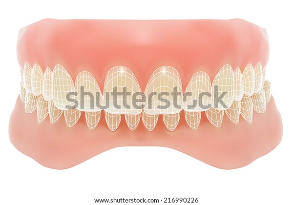 Human Jaw Vector Illustration Visible Mesh: เวกเตอร์สต็อก (ปลอดค่า ...