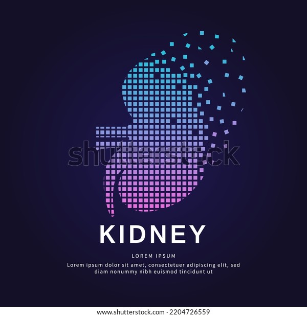 Human Kidney Medical Structure Creative Pixel Stock Vector (Royalty ...