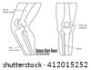 99,531 Human Knee Royalty-Free Images, Stock Photos & Pictures ...