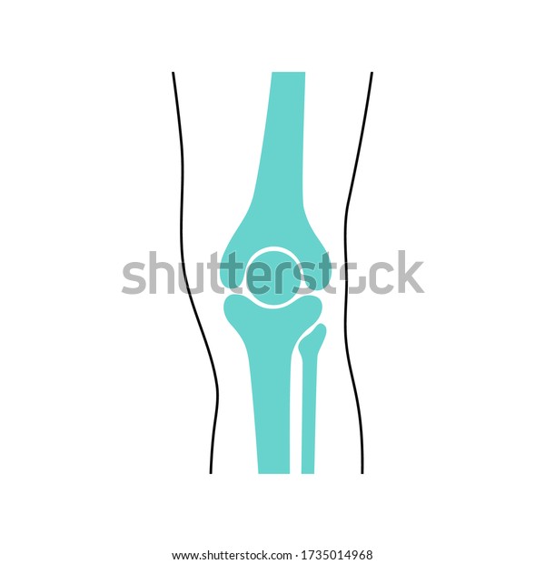 Human knee symbol. Knee Joint and meniscus anatomy. Vector flat concept ...