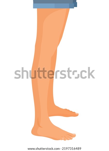 Human Legs Profile Vector Illustration Advertising Stock Vector ...