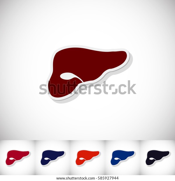 Human Liver Flat Sticker Shadow On: เวกเตอร์สต็อก (ปลอดค่าลิขสิทธิ์ ...