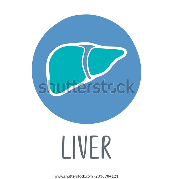 Human Liver Icon Twocolor Symbol Handwritten Stock Vector (Royalty Free ...