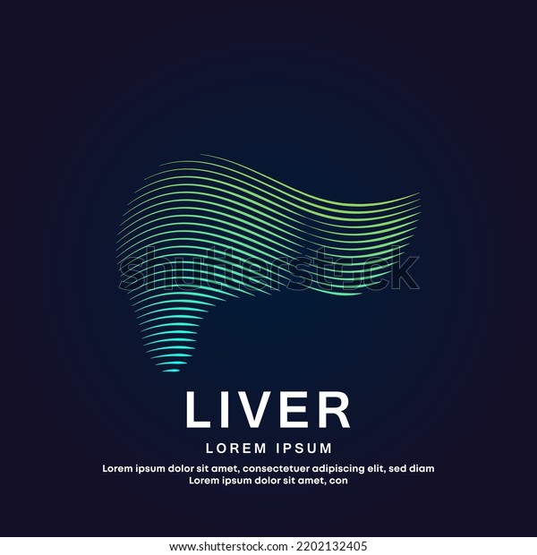 Human Liver Medical Structure Vector Logo Stock Vector (Royalty Free ...