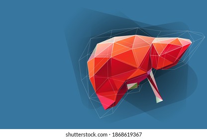 Human Liver On Blue Background Illustration: เวกเตอร์สต็อก (ปลอดค่า ...