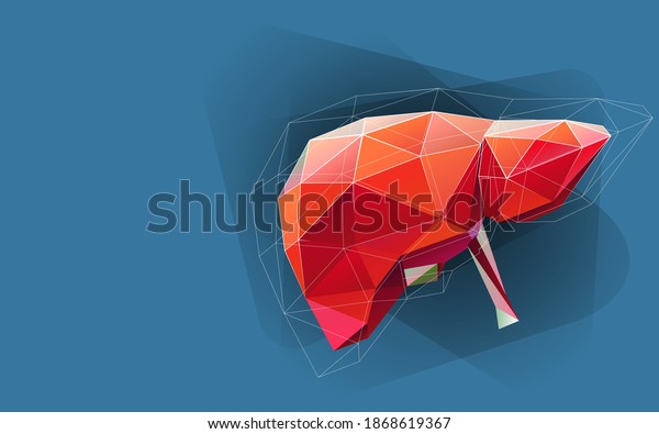 Human Liver On Blue Background Illustration: เวกเตอร์สต็อก (ปลอดค่า ...