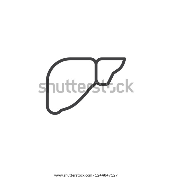 Human Liver Outline Icon Linear Style Stock Vector (Royalty Free ...
