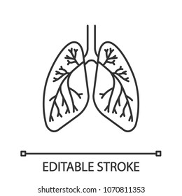 Human Lungs Bronchi Bronchioles Linear Icon Stock Vector (Royalty Free ...