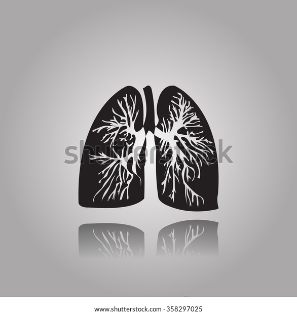 Human Lungs Illustration Bronchial Tree Stock Vector (Royalty Free ...