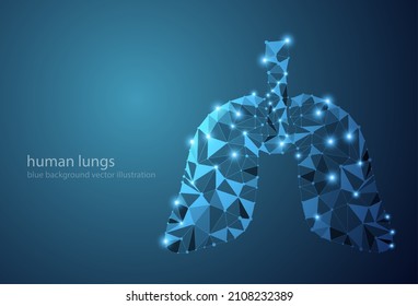 Human Lungs Respiratory Blue Background Used Stock Vector (Royalty Free ...