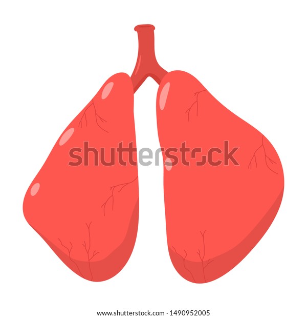 Human Lungs Vector Cartoon Illustration Isolated Stock Vector (Royalty ...