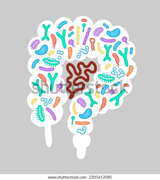 Human Microbiome Illustration Intestines Bacteria Vector Stock Vector ...