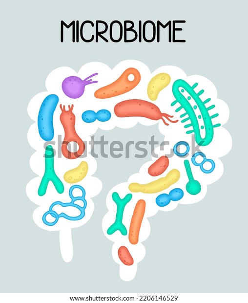 Human Microbiome Illustration Intestines Bacteria Vector Stock Vector ...