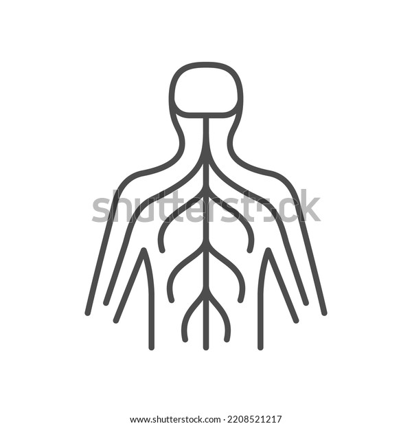 Human Nervous System Line Icon Stock Vector (Royalty Free) 2208521217 ...